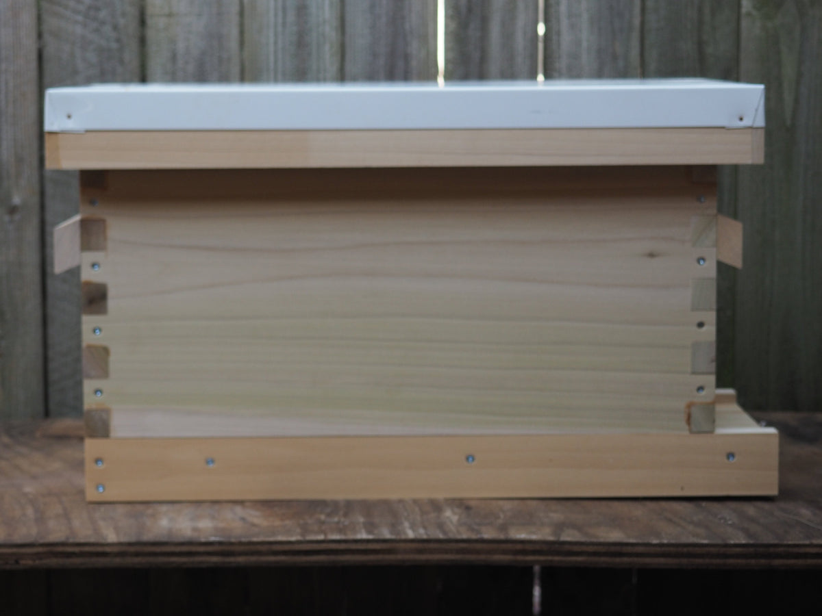 5 Frame Nuc Hive Complete – My Bee Supply LLC